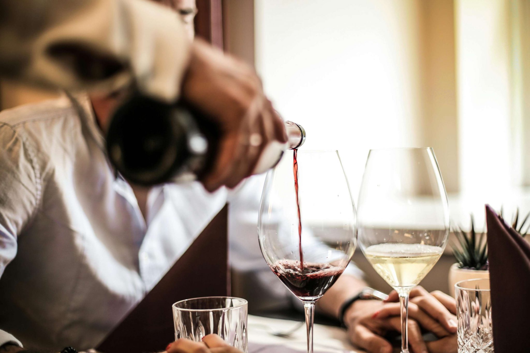 The Basics of How to Pour Wine - Red & White